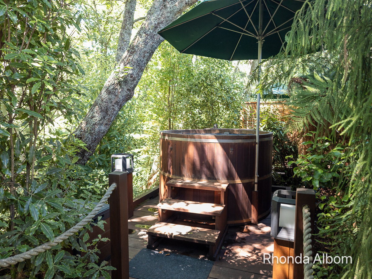 15 Best New Zealand Hot Springs: Where We Soak and Relax